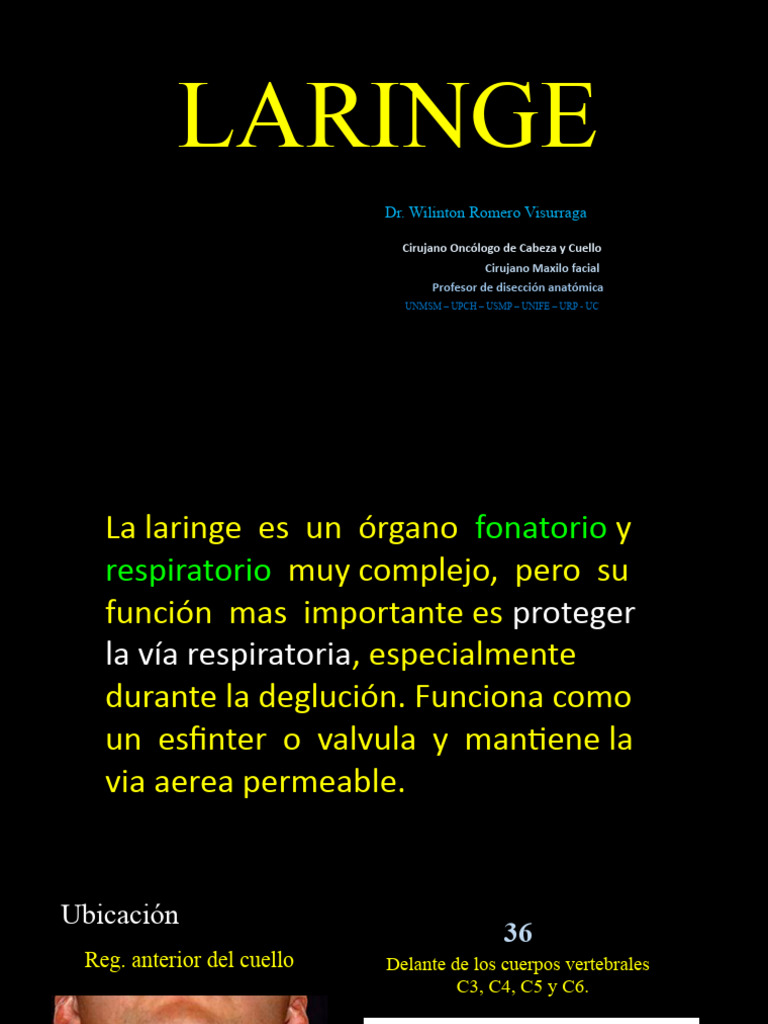 2do TEORIA LARINGE | PDF | Laringe | Cabeza y cuello humanos