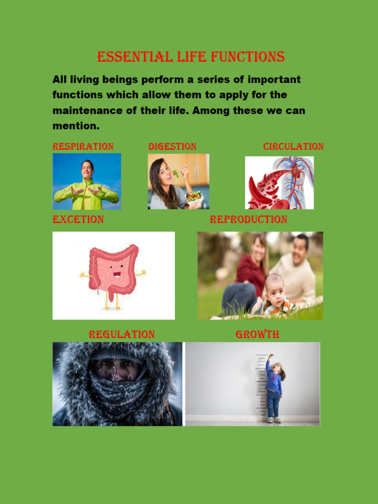 Essential Life Functions | PDF