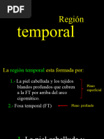 Anatomía de la Fosa Temporal | PDF | Cráneo | Cabeza y cuello humanos