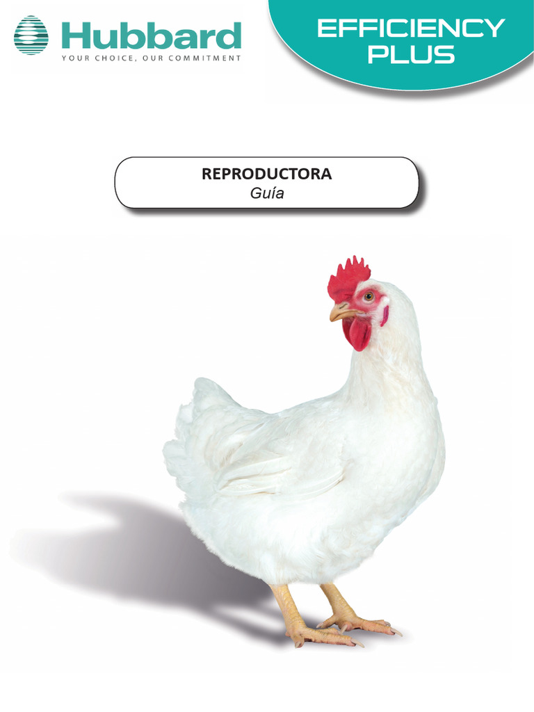 Guia Reproductora Hubbard Efficiency Plus | PDF | Aves | Alimentos