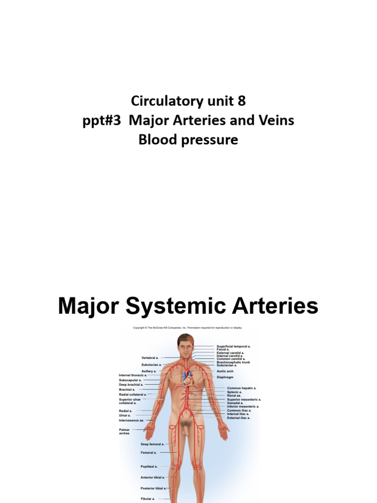 3 Circulatory Major Arteries and Veins Blood Pressure | PDF | Common ...