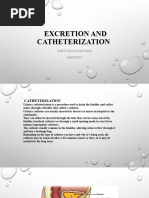 Performing Intermittent Straight Catheterization | PDF | Medical ...