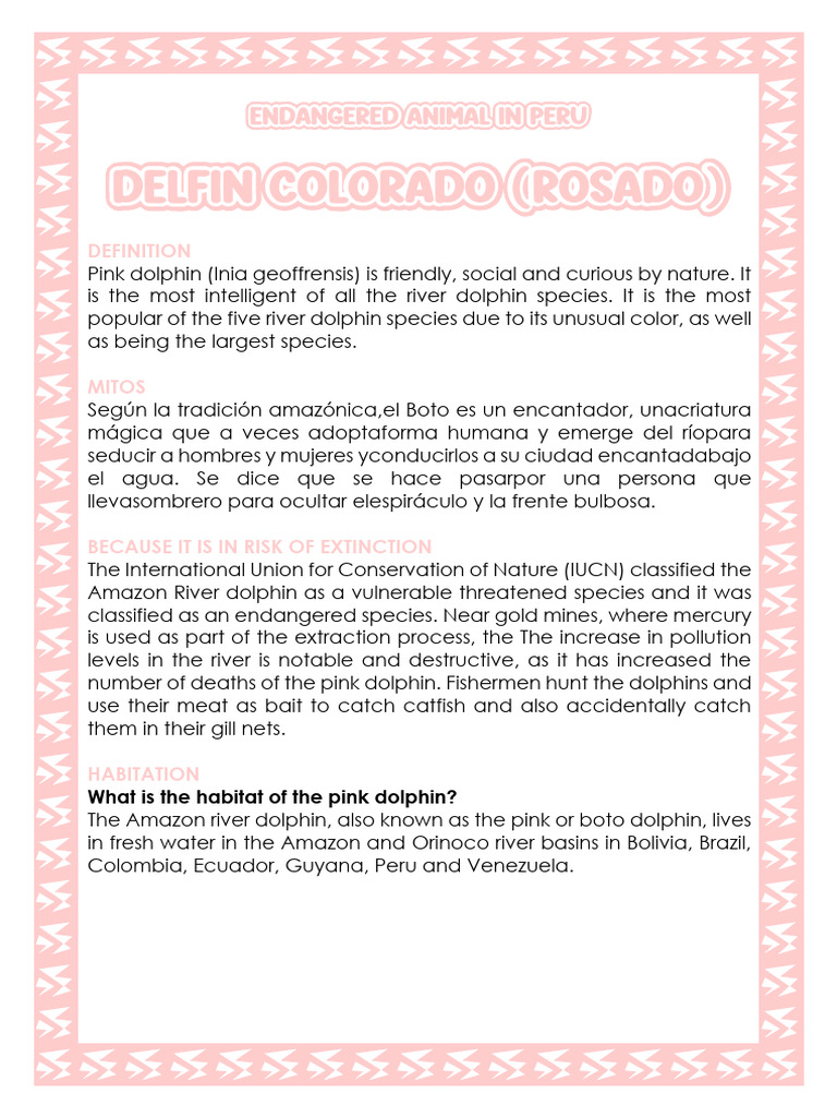 Delfin Rosado | PDF