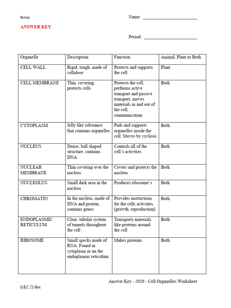 Answer Key - 2020 - Cell Organelles Worksheet ch2.2 | PDF | Endoplasmic Reticulum | Cell (Biology)