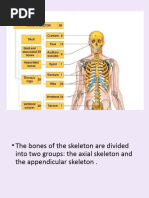 Paired and Unpaired Bones of The Skull | PDF | Skull | Human Anatomy