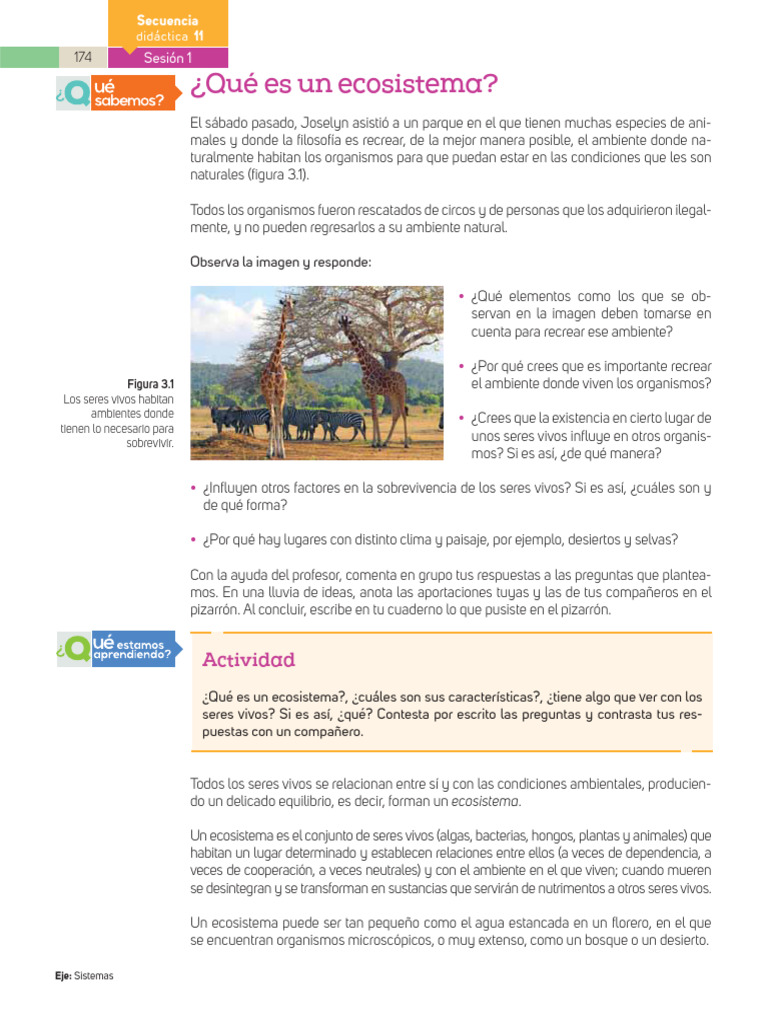 Ecosistemas | Descargar gratis PDF | Red alimentaria | Ecosistema