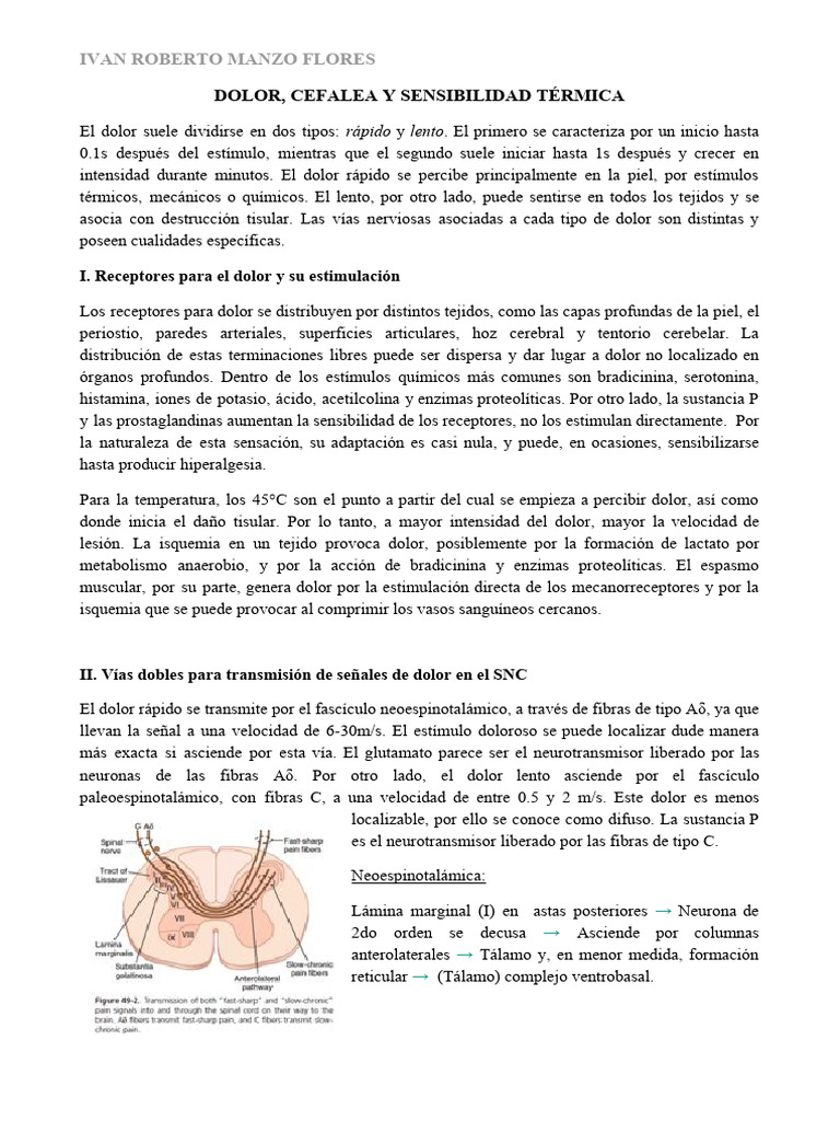 Material de Apoyo 8 - Dolor, Cefalea y Sensibilidad Térmica | PDF | Dolor | Dolor de cabeza