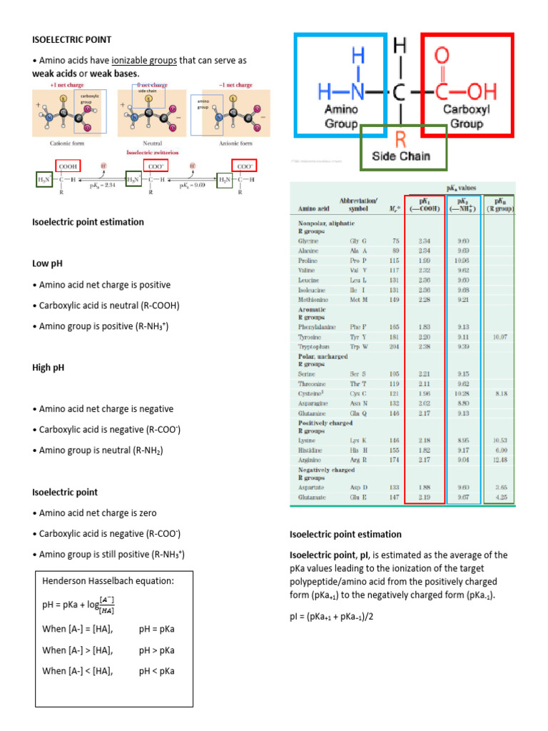 Isoelectric Point | PDF | Acid Dissociation Constant | Amino Acid