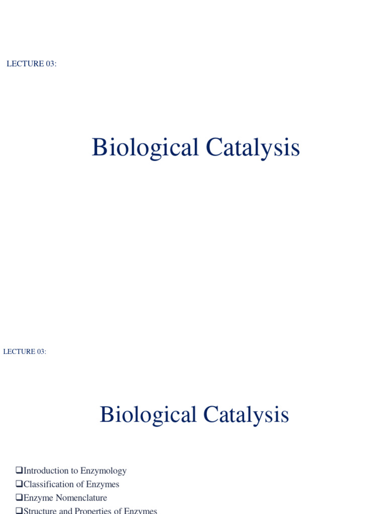 Biological Catalysis | PDF | Enzyme | Active Site
