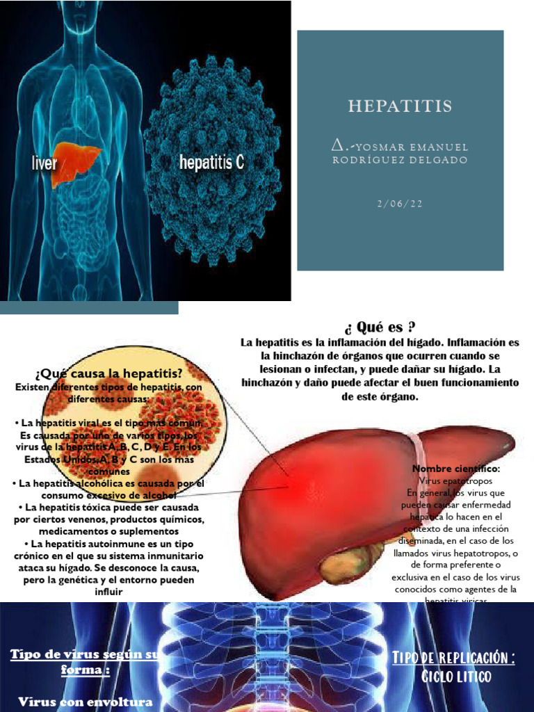 Yos J Hepatitis | PDF | Hepatitis | Virus