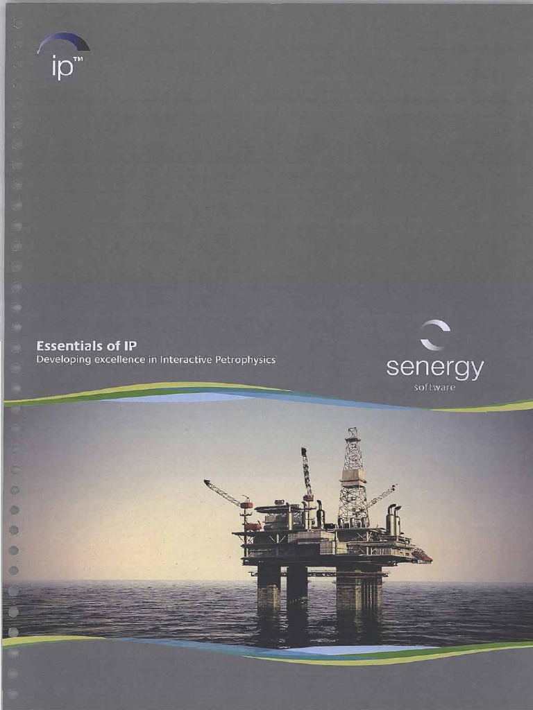 Essentials of IP - Senergy Software | PDF