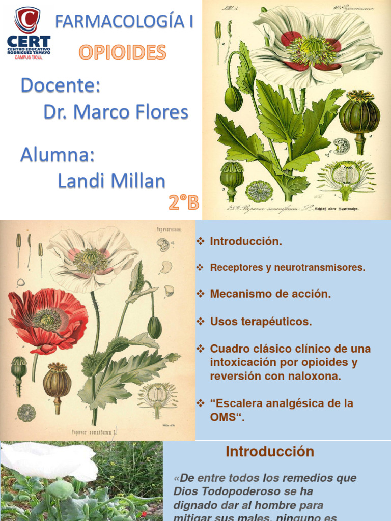 CAP 12 Expo. OPIOIDES | Descargar gratis PDF | Naloxona | Medicamentos ...