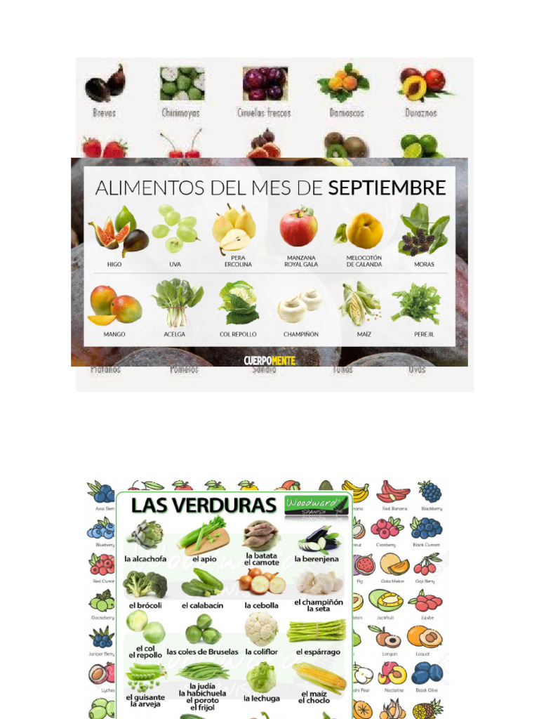 Frutas Y Verduras Pdf