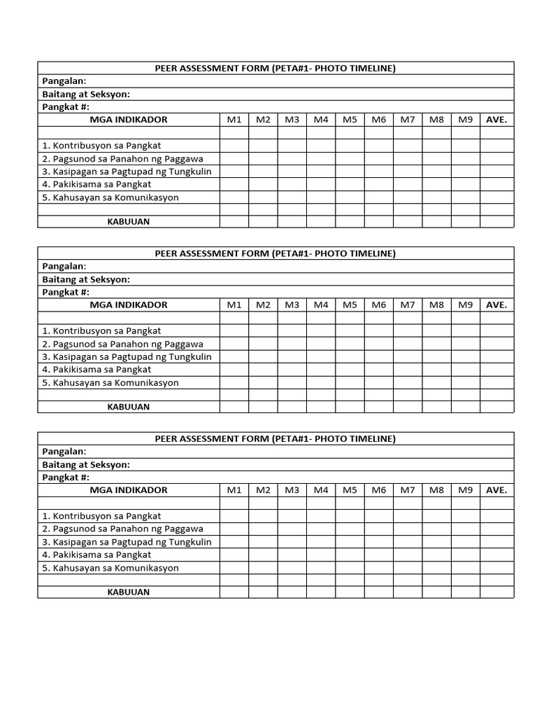Peer Assessment Form (Peta#1 - Photo Timeline) | PDF