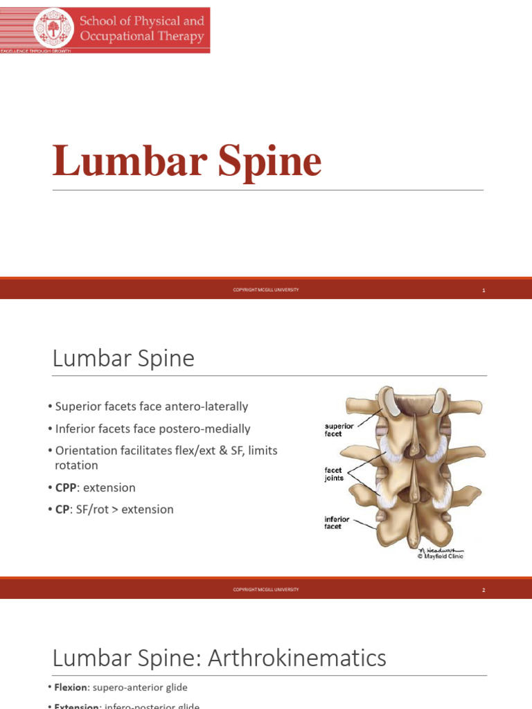 LX Spine Assessment and Treatment | Download Free PDF | Anatomical ...