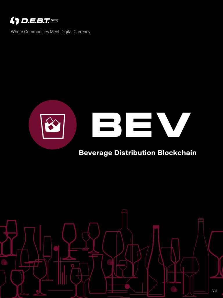 BEV Lite Paper | PDF