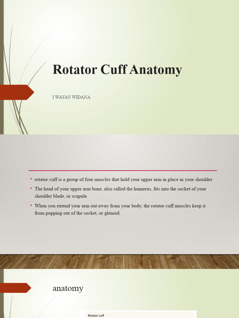 Rotator Cuff Anatomy | PDF | Shoulder | Clinical Medicine