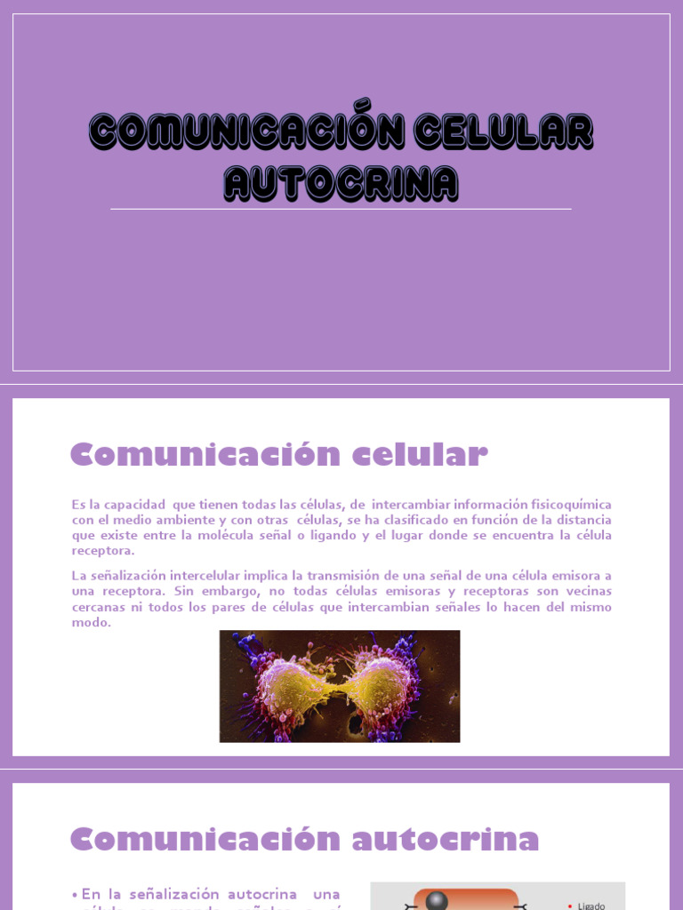 COMUNICACIÓN CELULAR AUTOCRINA | PDF | Sinapsis | Neurotransmisor