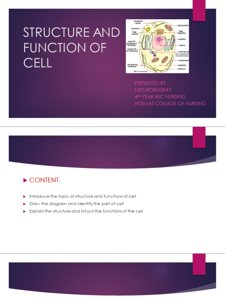 Structure and Function of Cell: Presented by Miss - Robinsini.F 4 Year ...