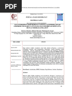 Pil KB Andalan Fe-Dr. Thesa | PDF