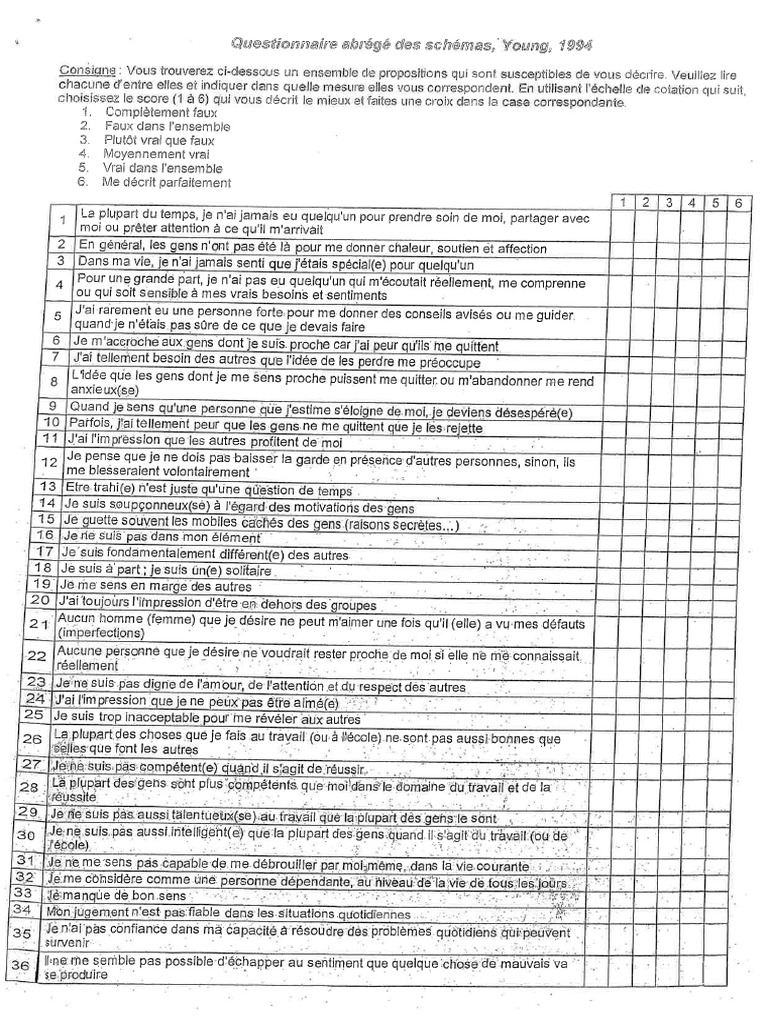Questionnaire Des Schemas | PDF