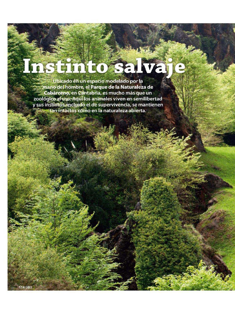 Cabarceno, Instinto Salvaje, Cantabria, España | PDF