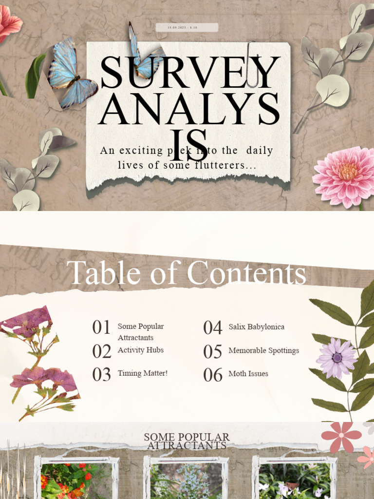 Light Pollution and Insect Pollination - 1 | PDF | Lepidoptera | Insects