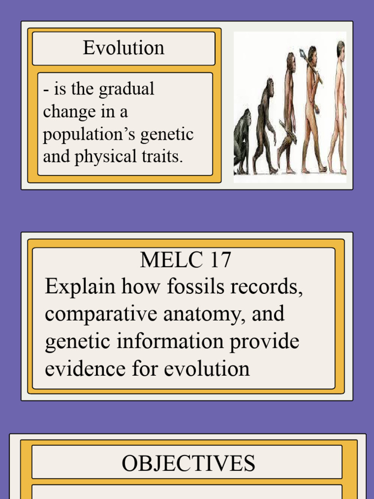 Fossil Evidence and Evolution Explained | PDF