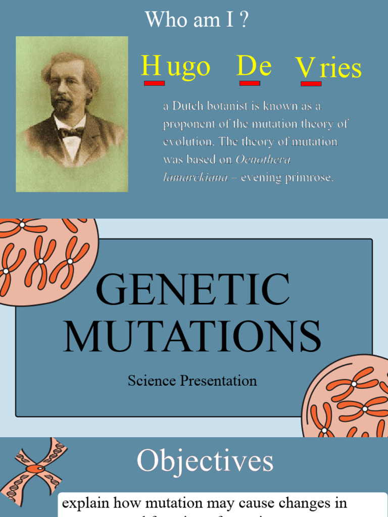 Q3 W4..genetic-Mutation | PDF | Mutation | Point Mutation