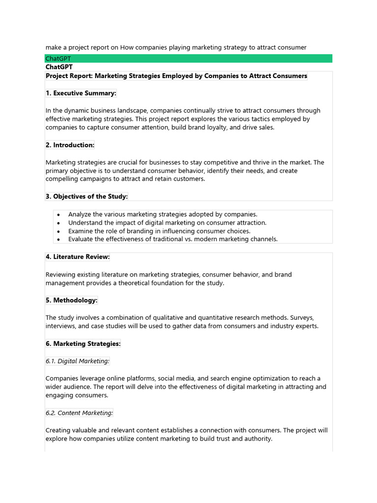 Chat GPT Project | PDF | Marketing | Digital Marketing
