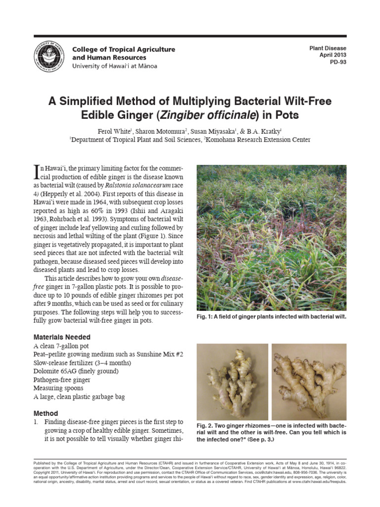 PD 93 | PDF | Ginger | Botany