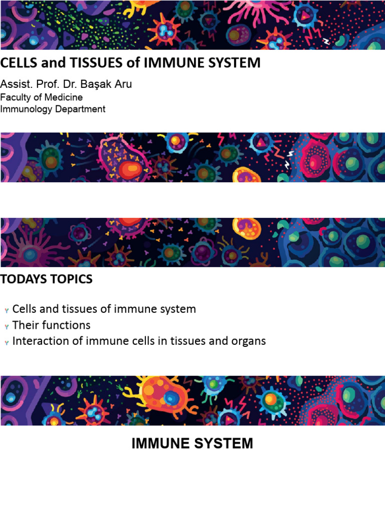 Lecture II - Cells and Tissues | PDF | Lymphatic System | Haematopoiesis