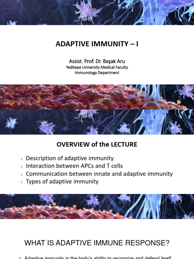 Adaptive Immunity I | PDF | T Cell | T Helper Cell