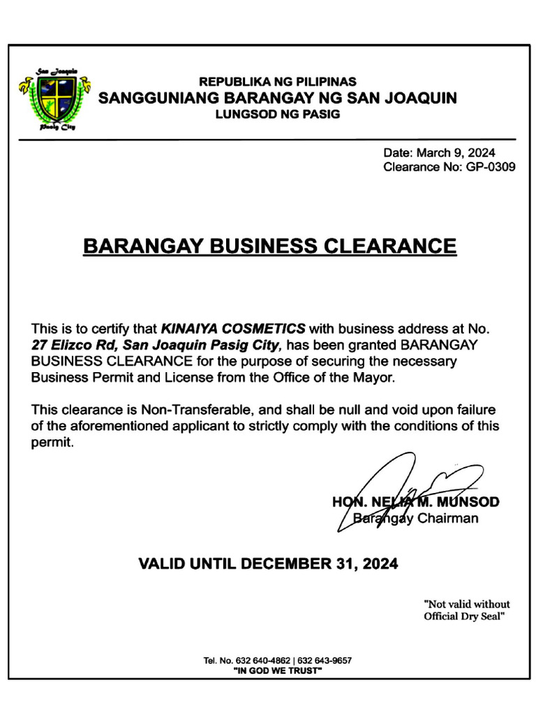 Barangay Permit | PDF