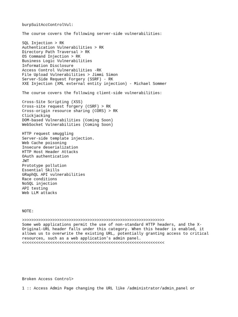 Burp Suit Acc Control Vul | PDF