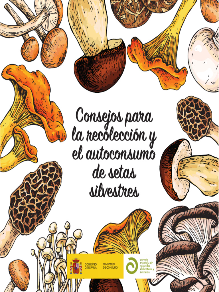 Consejos Recoleccion Setas | PDF | Alimentos | Seta