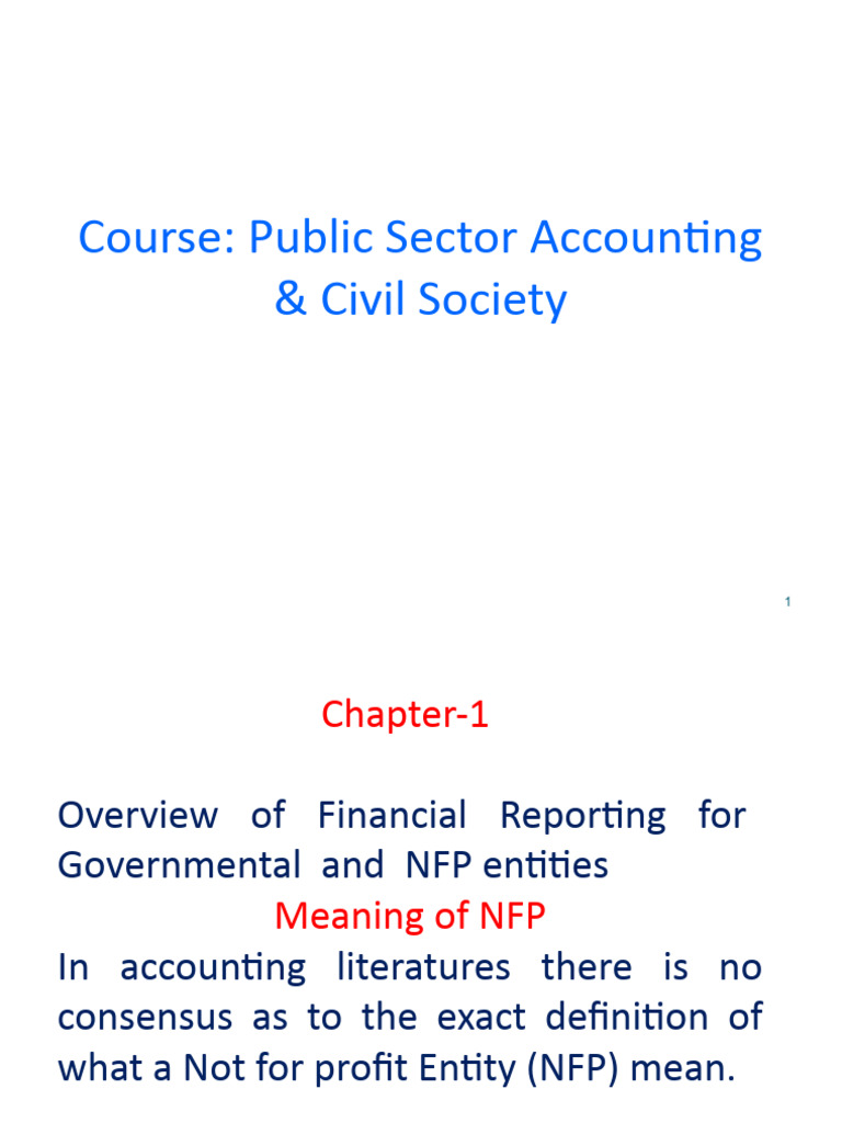 Public Sector Accounting Overview | PDF | Nonprofit Organization ...
