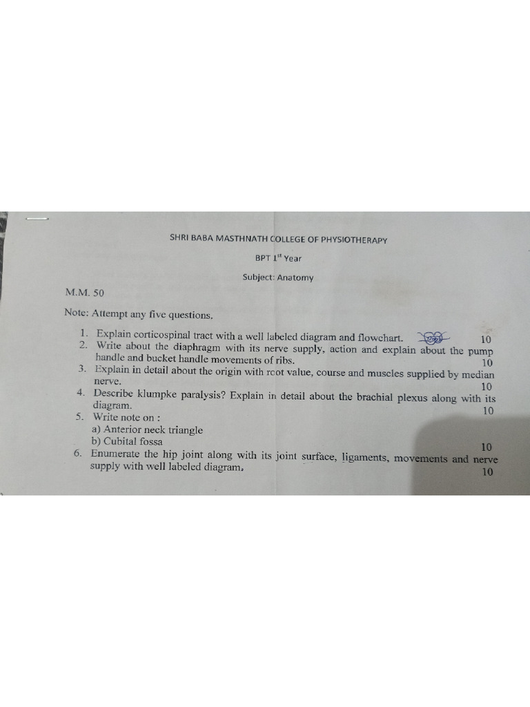 Anatomy Ques Paper | PDF