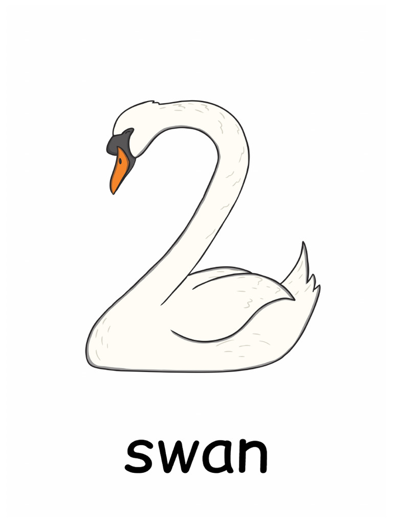 SN SM SW Phonics | PDF