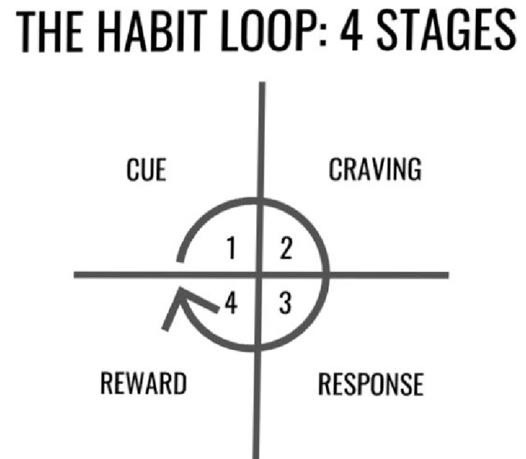 The Habit Loop | PDF