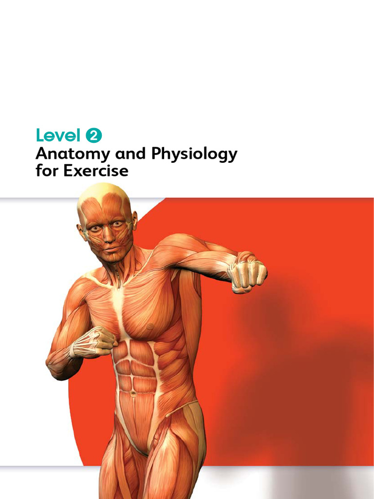 l2 Anatomy and Physiology For Exercise Learner Workbook Fitness Instructor Workbook 1b | PDF ...