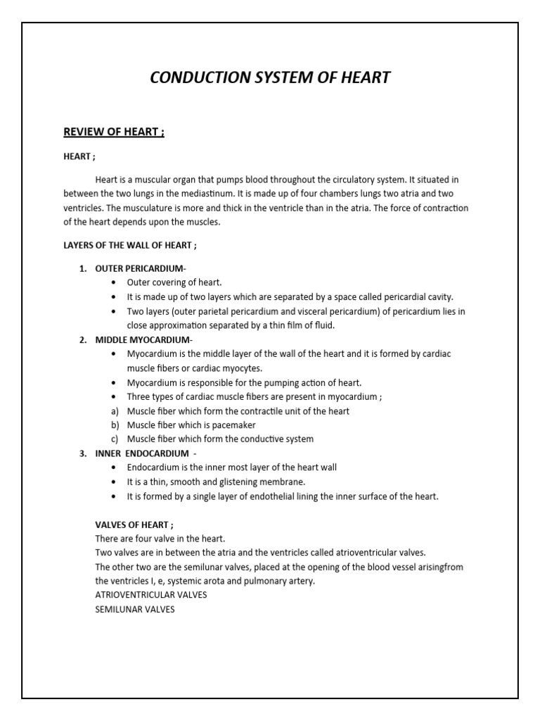 CONDUCTION SYSTEM OF HEART | PDF | Muscle Contraction | Heart