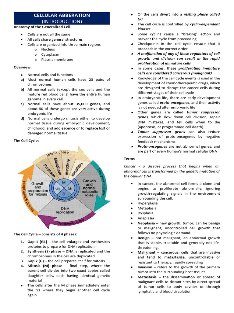 Reviewer - Cellular Aberration | PDF | Cancer | Metastasis