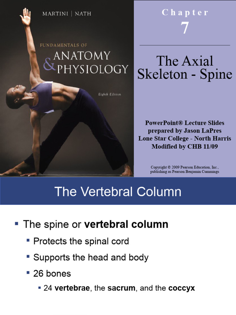 Vertebral Column PPP | PDF | Vertebra | Vertebral Column