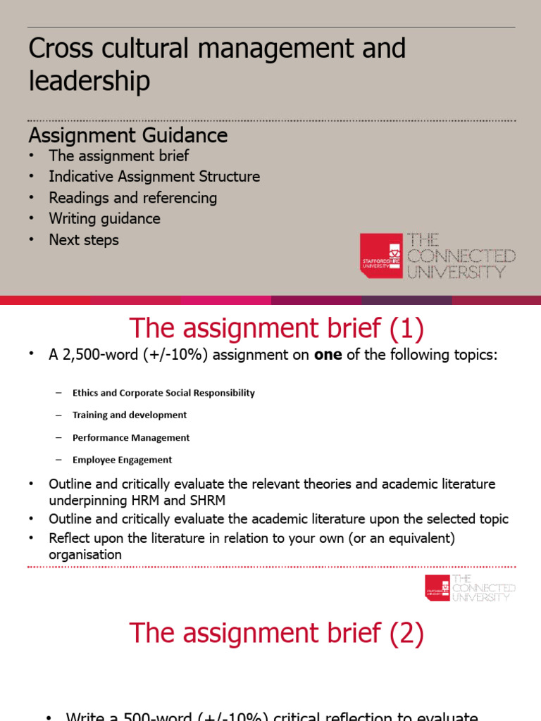 Cross-Cultural Management Assignment Guide | PDF | Evaluation | Leadership