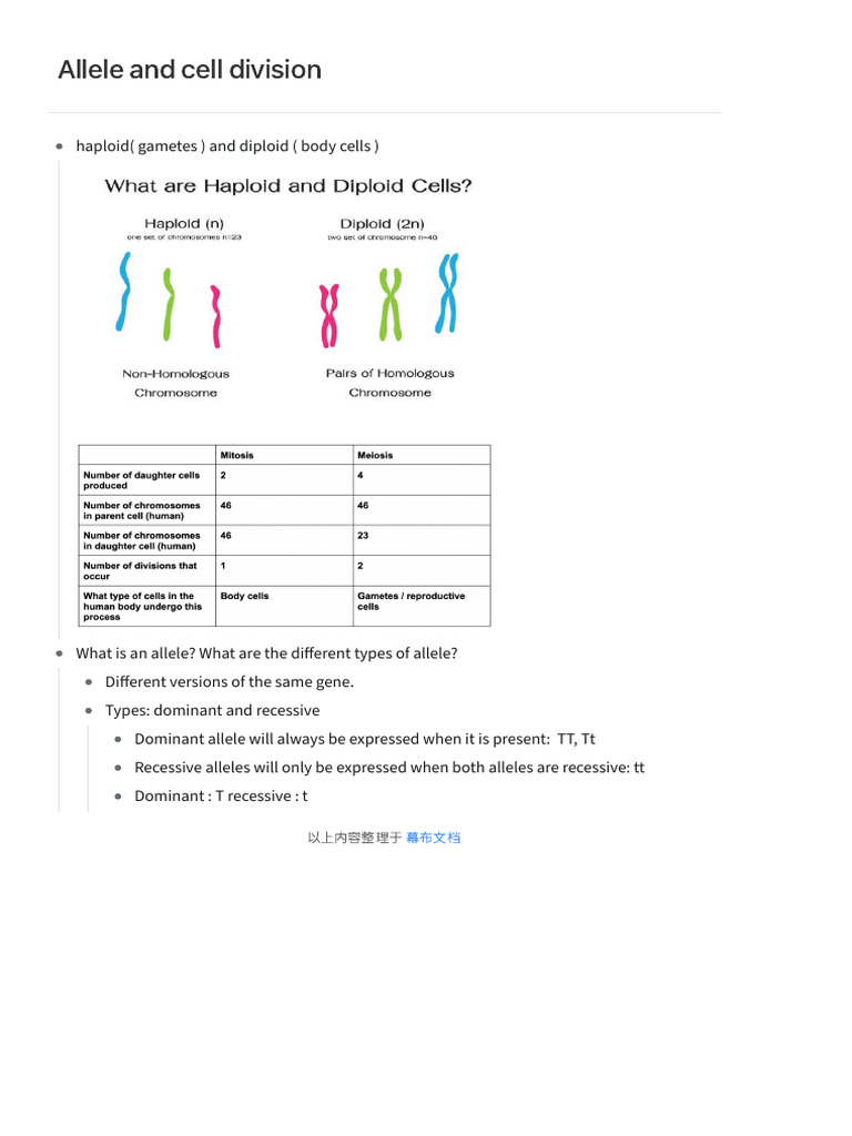 Genetics: Alleles and Cell Division | PDF