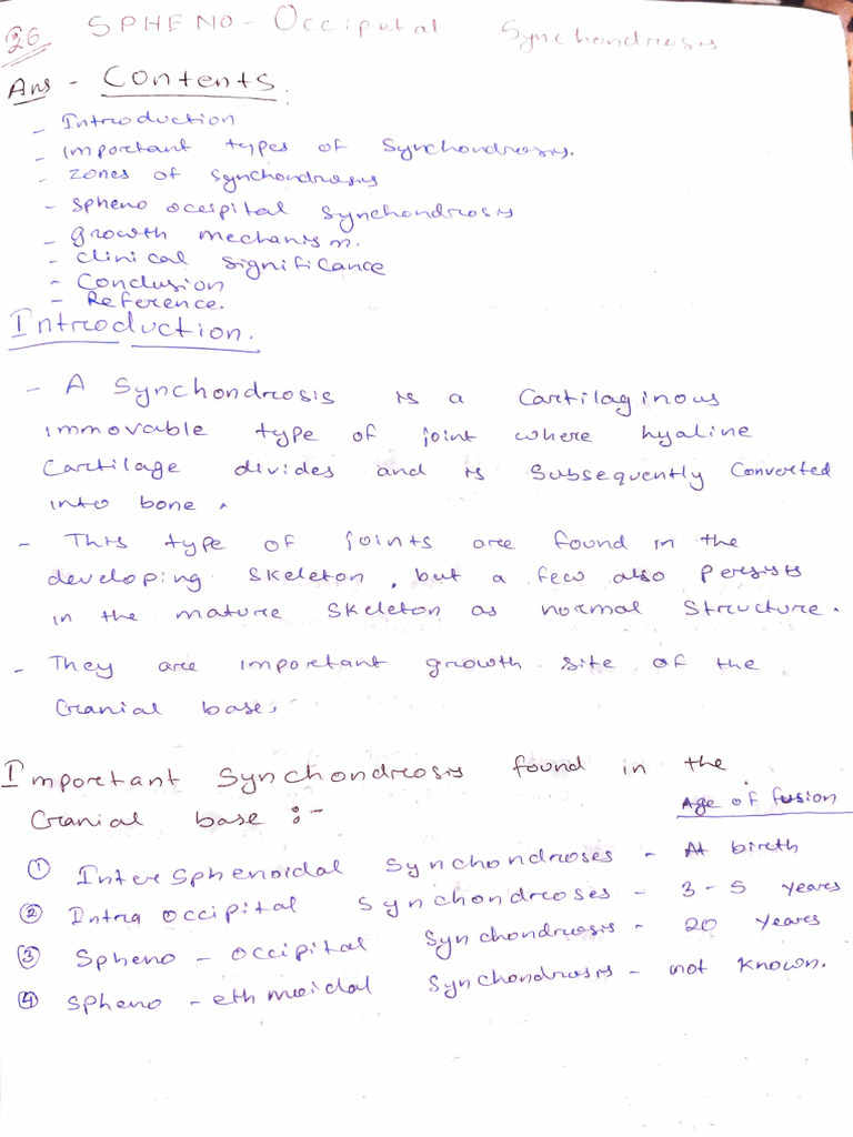Spheno-Occipital Synchondrosis Overview | PDF | Skeletal System ...