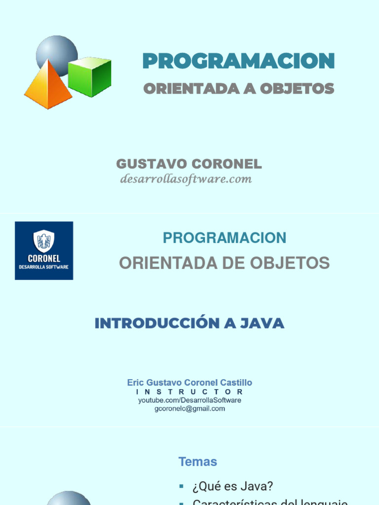 Introducción a Java y POO | PDF | Java (lenguaje de programación) | Lenguaje de programación