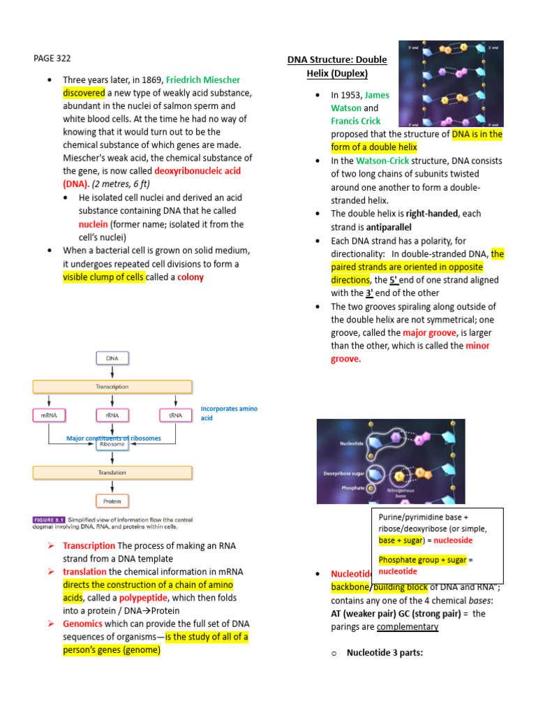 DNA | PDF | Dna Replication | Dna