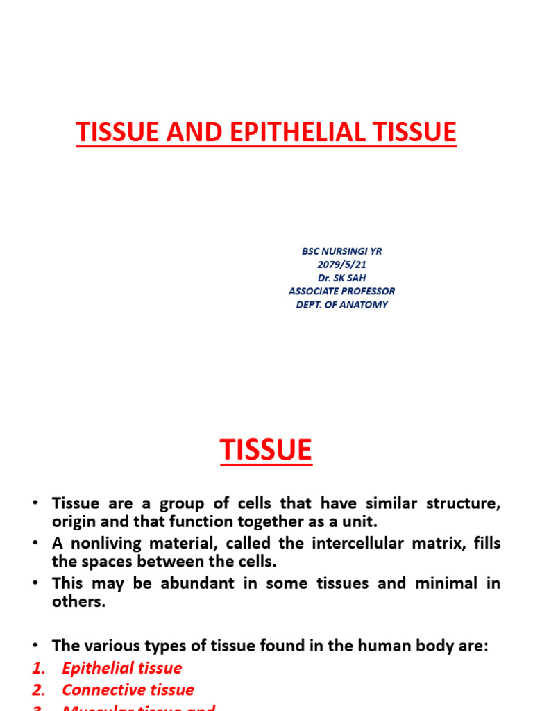 Epithelial Tissue Overview | PDF | Epithelium | Histology